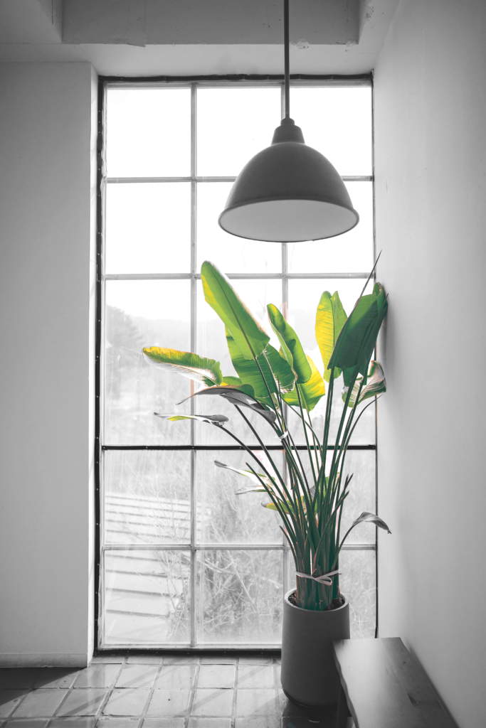 Green Homes - Markhor Builders