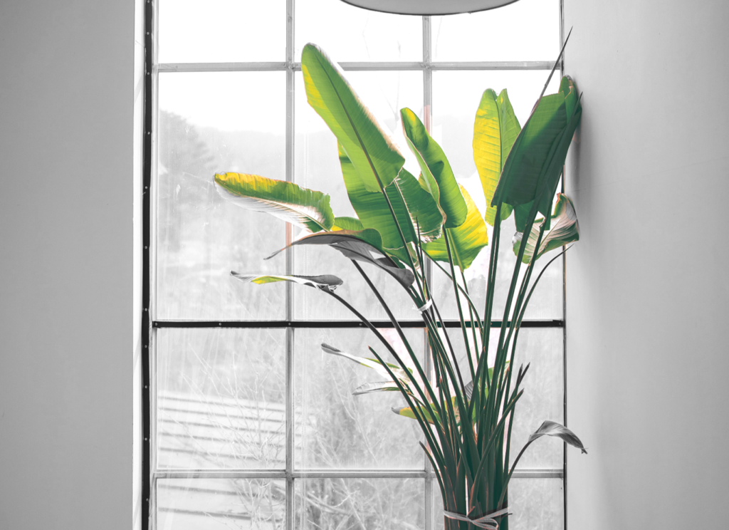 Home - Markhor Builders